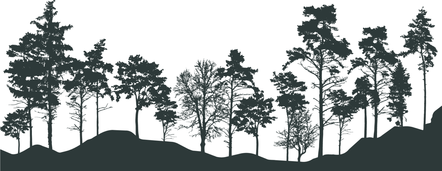 Selective Cutting: The Best Timber Harvesting Method