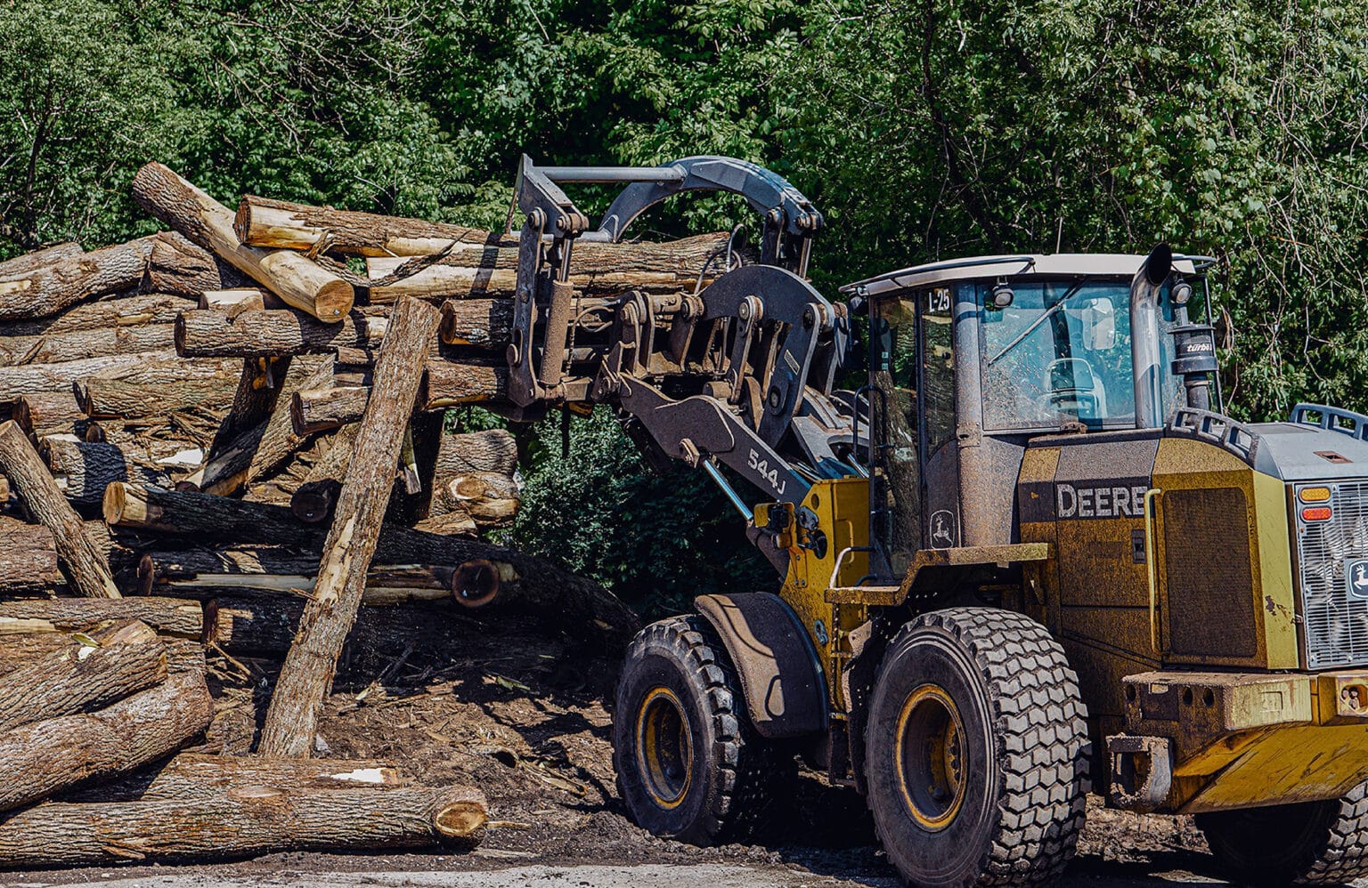 What is the Minimum Acreage to Sell Timber? | Michigan Timber Buyers